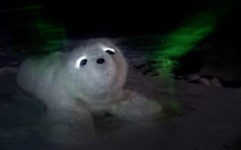 今後のイベント